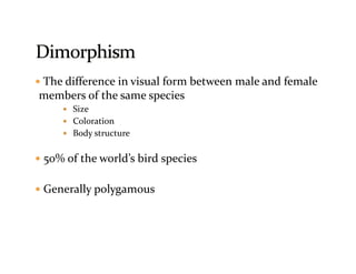 My Pecha Kucha: Birds | PDF | Birdwatching | Hobbies & Interests