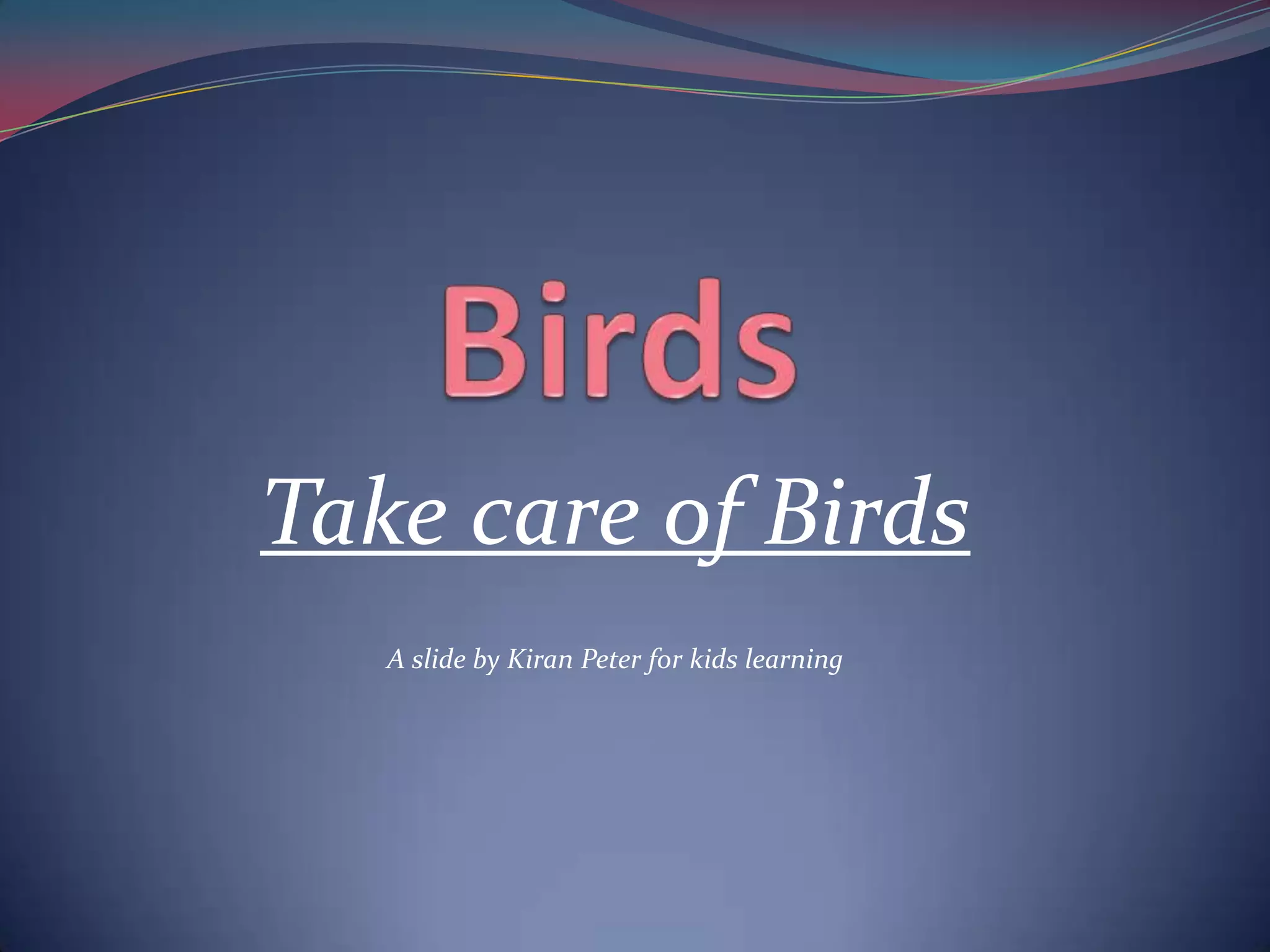 Birds | PPTX