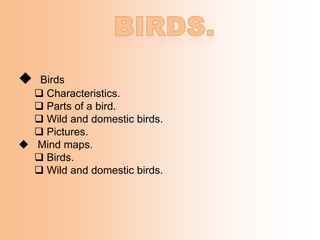 Birds: First steps on Science | PPT