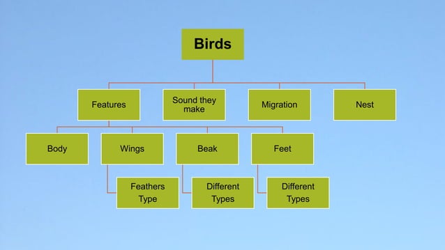 Environmental Science (EVS) : Birds (Class III) | PDF | Birdwatching ...