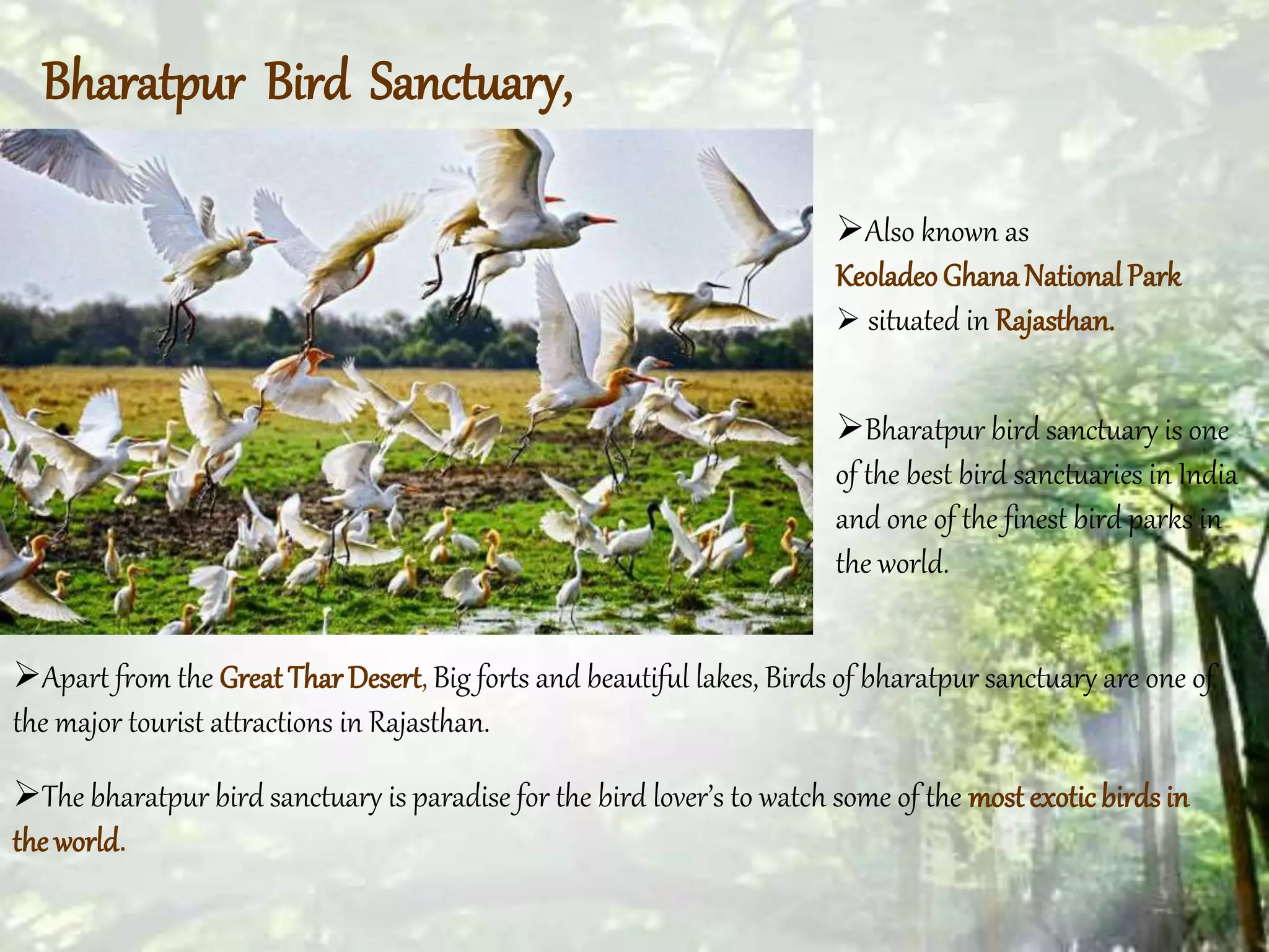 Ppt on Top Bird sanctuaries in india | PPTX