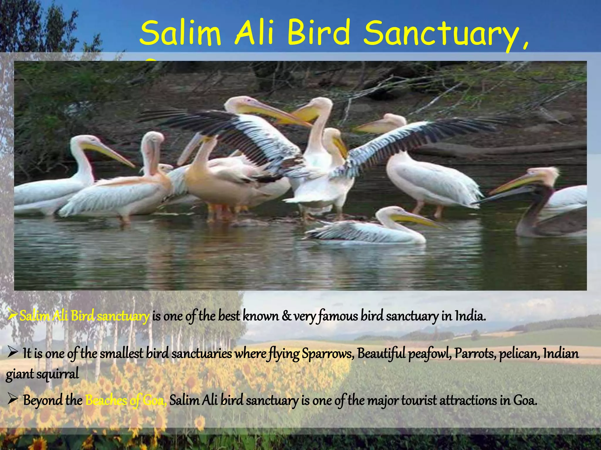 Ppt on Top Bird sanctuaries in india | PPTX
