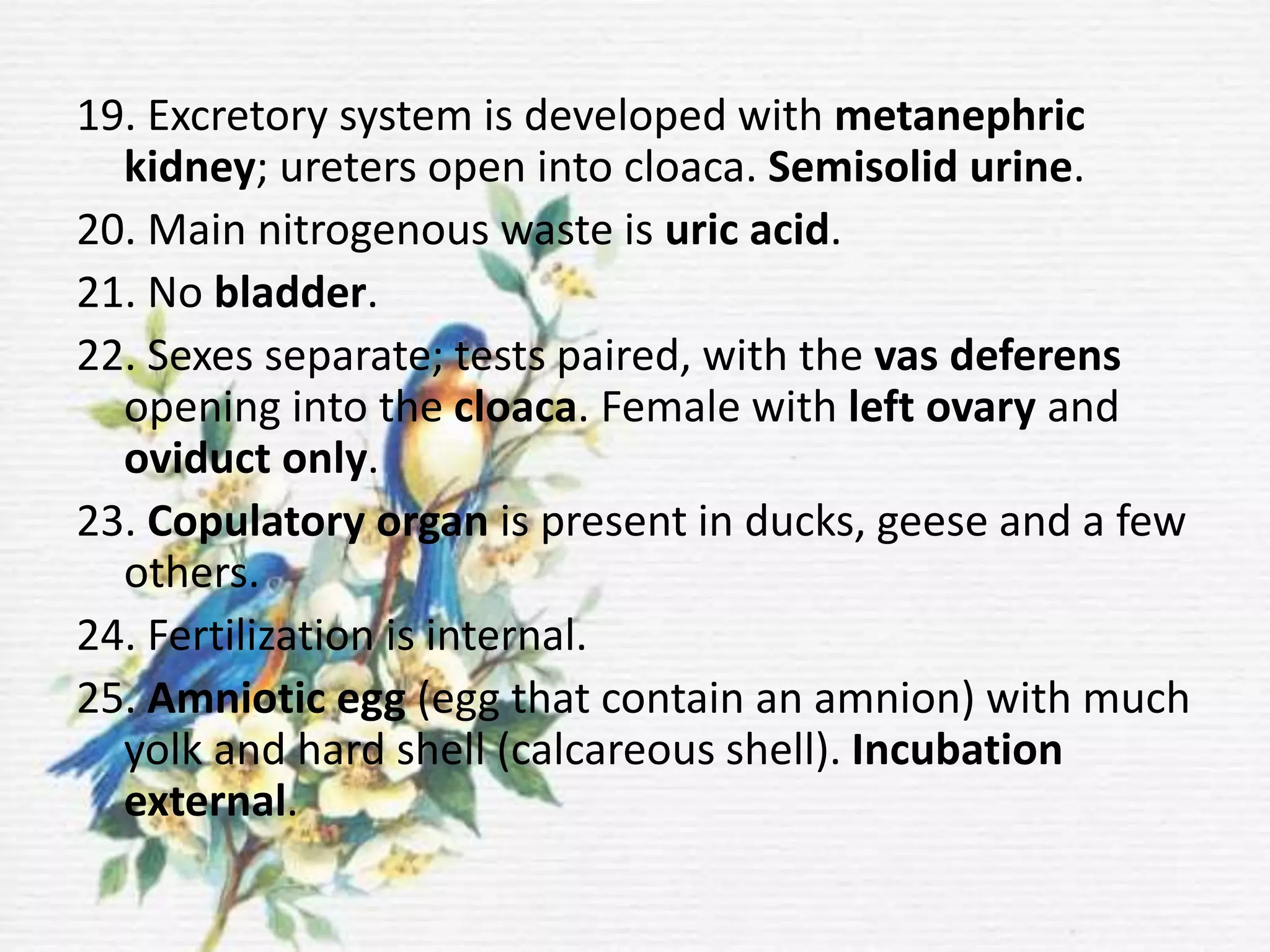 Characteristics of class Aves | PPTX