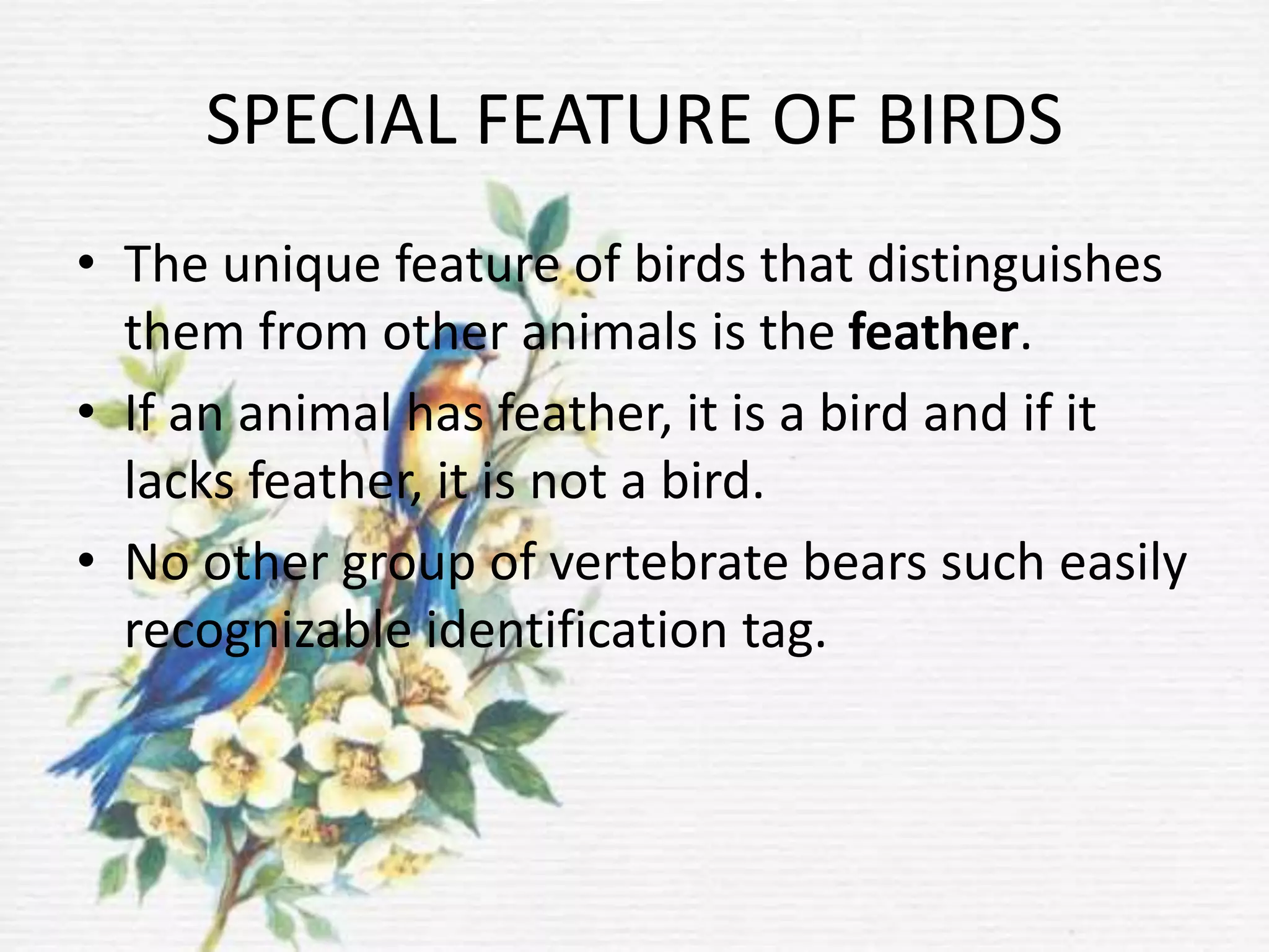 Characteristics of class Aves | PPTX