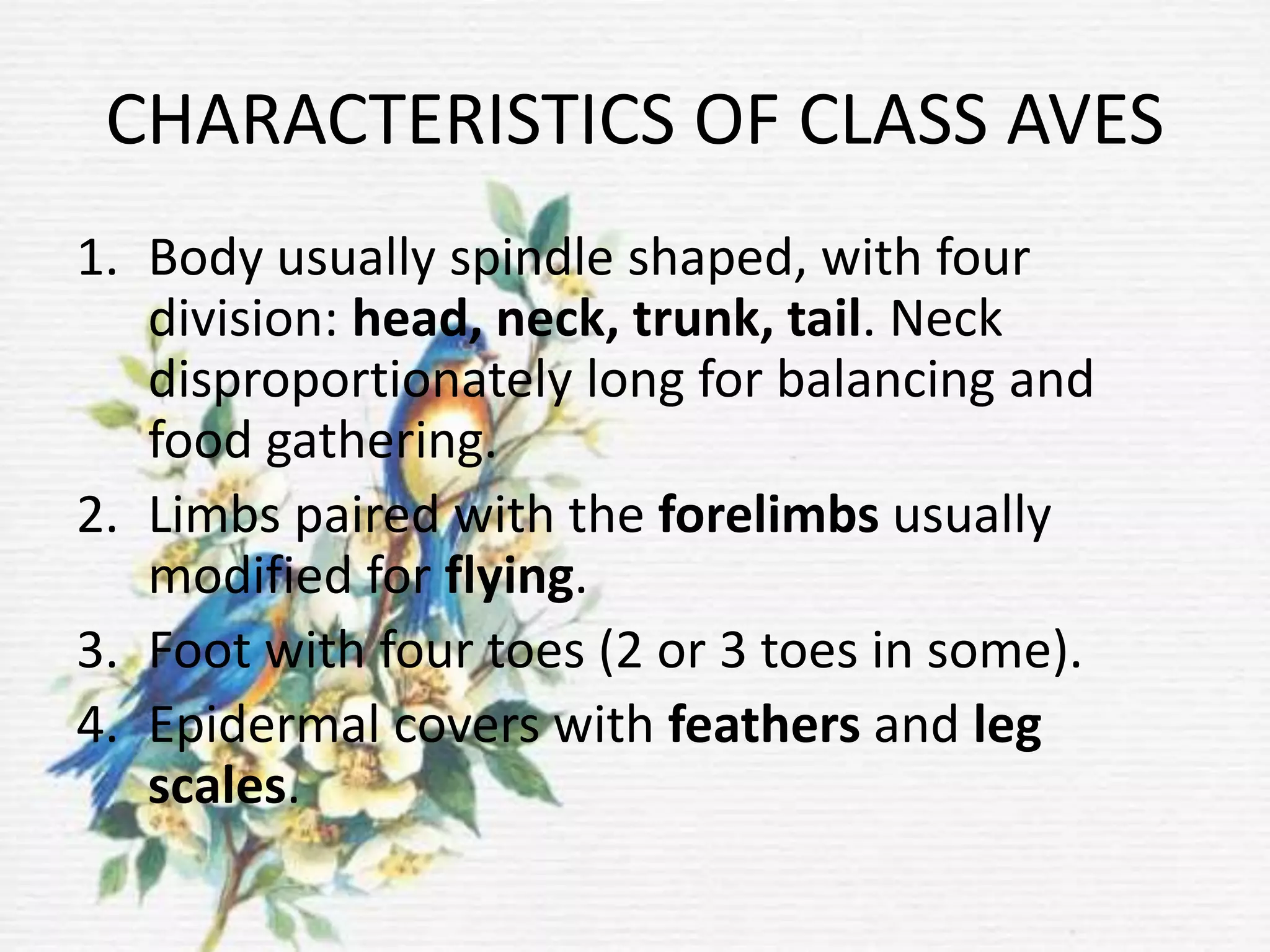 Characteristics of class Aves | PPTX