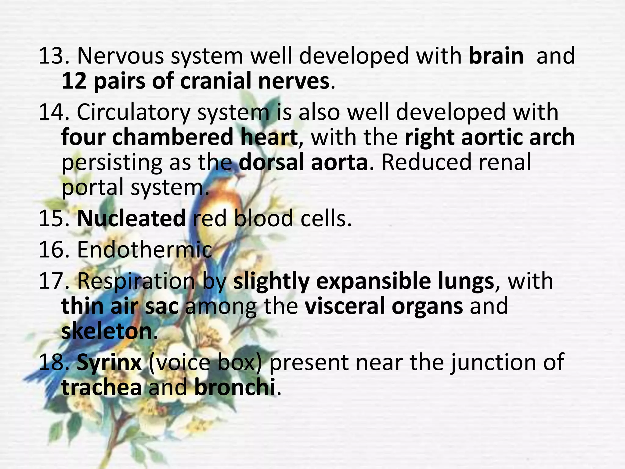 Characteristics of class Aves | PPTX