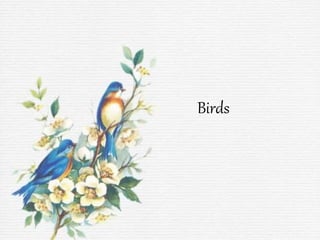 Characteristics of class Aves | PPTX