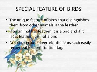 Characteristics of class Aves | PPTX