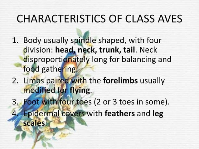 Characteristics of class Aves | PPTX | Birdwatching | Hobbies & Interests