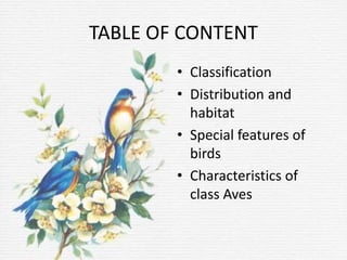 Aves Birds Classification