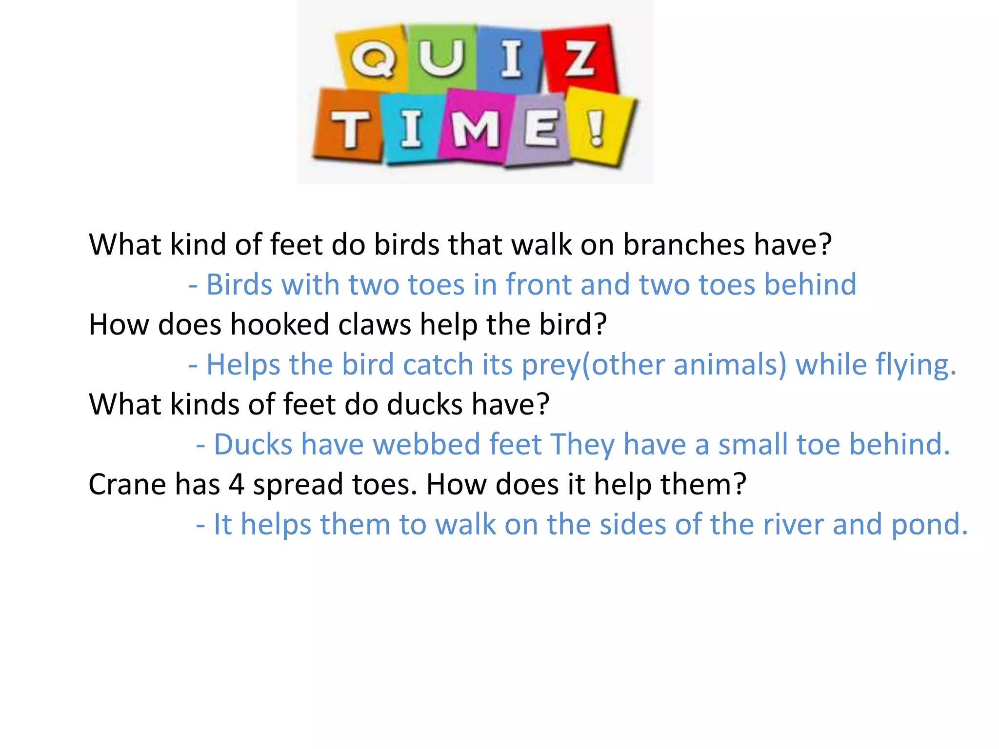 Birds, claws and Feathers | PPTX | Birdwatching | Hobbies & Interests