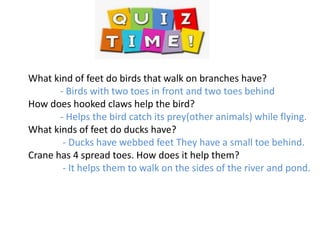 Birds, claws and Feathers | PPTX