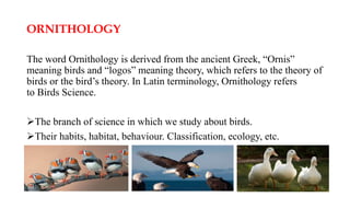 BIRDS.pptx