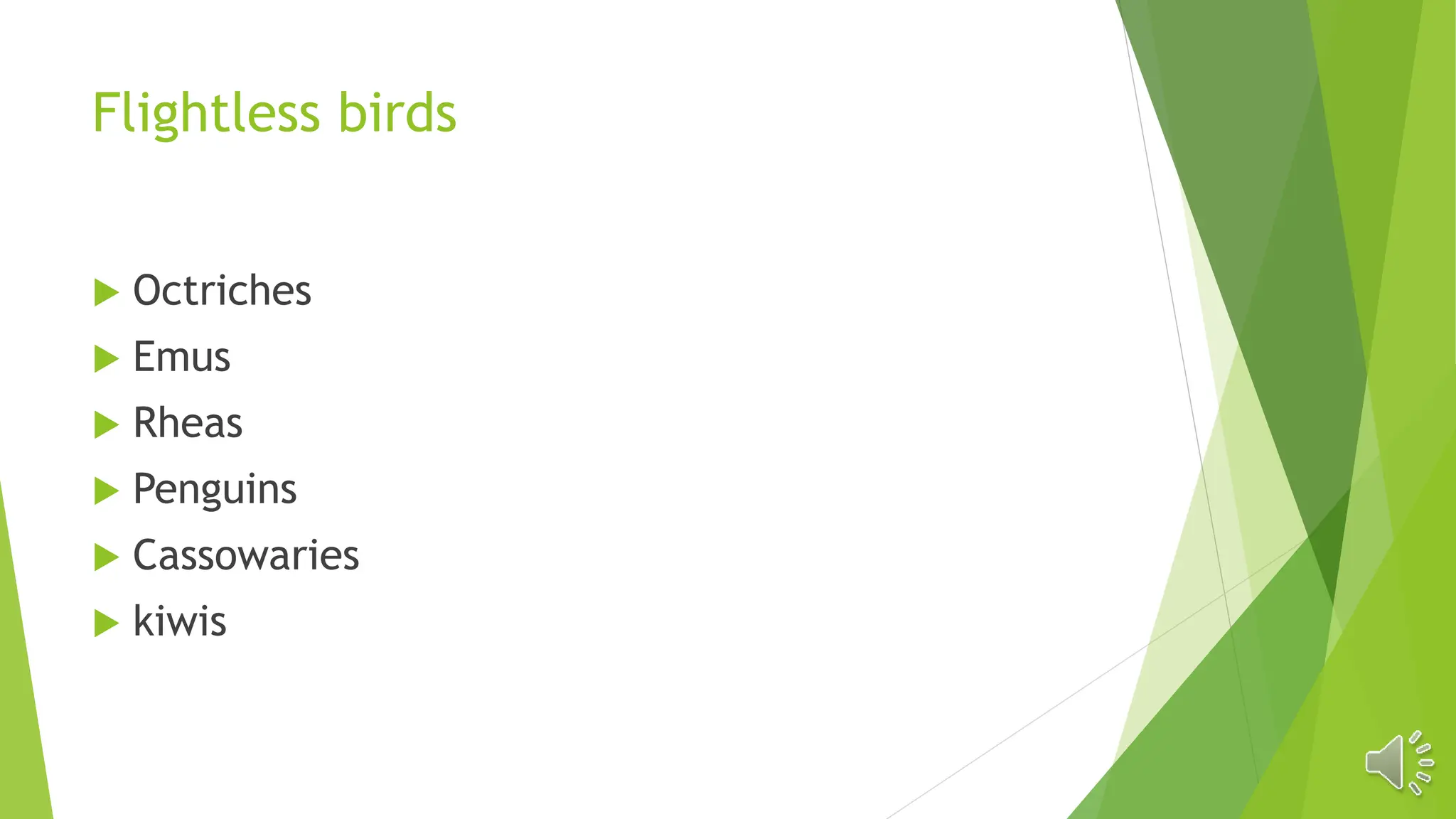 Presentation on characteristic of birds class 2 .pptx