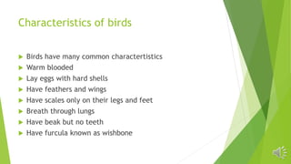 Presentation on characteristic of birds class 2 .pptx