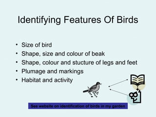 Birdsandchickensandmoreforstudentspr.ppt