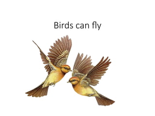 Birds types and categories of how they live.pptx