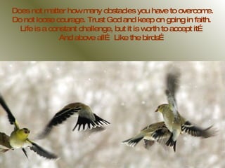 Birds - Perseverance | PPT