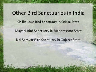 Bird Sanctuaries in India | PPTX