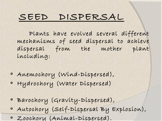 Birds and plants regeneration | PPT