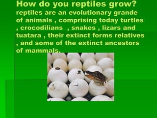 Birds and reptiles | PPT