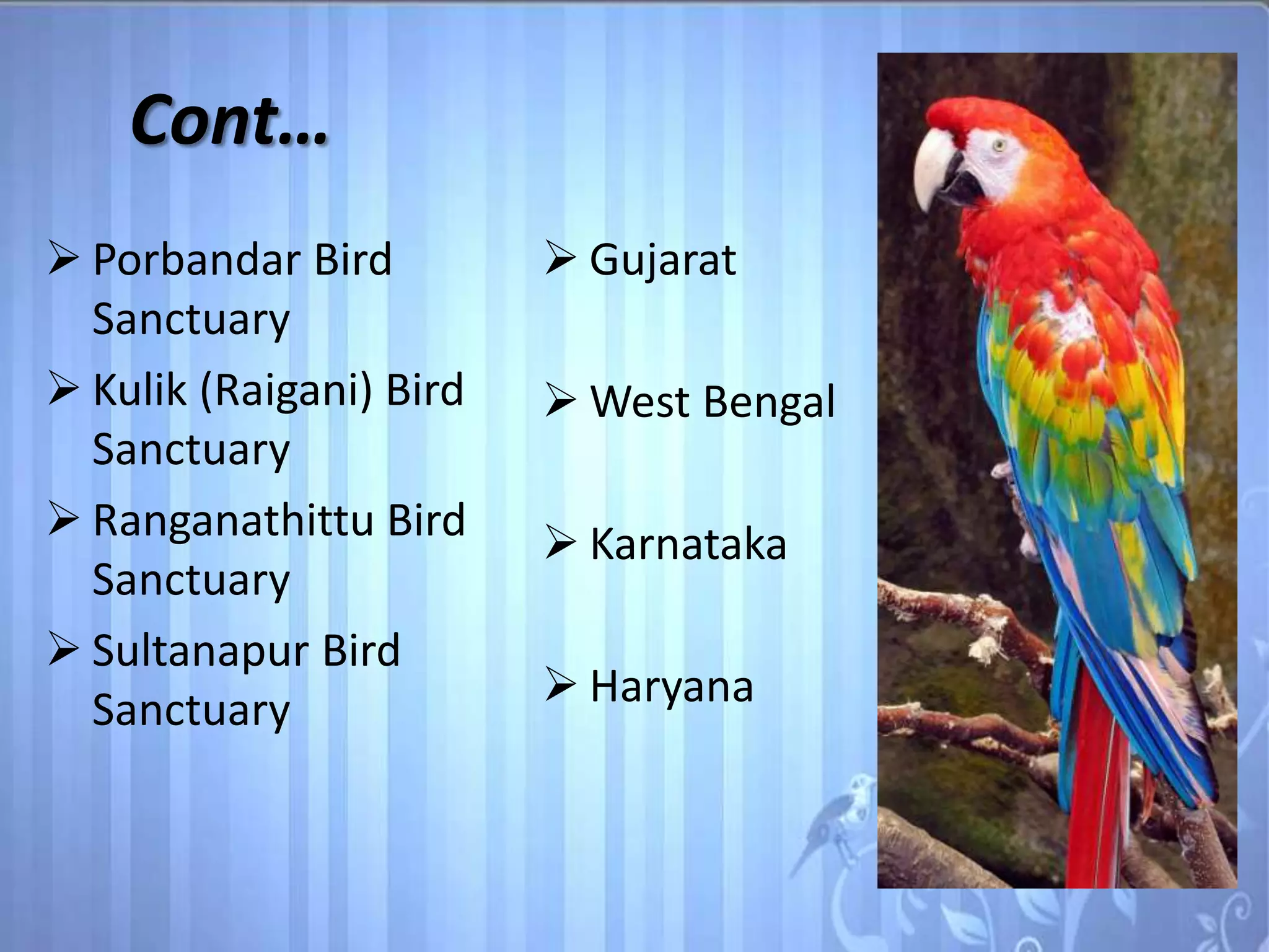 Bird santuries | PPTX