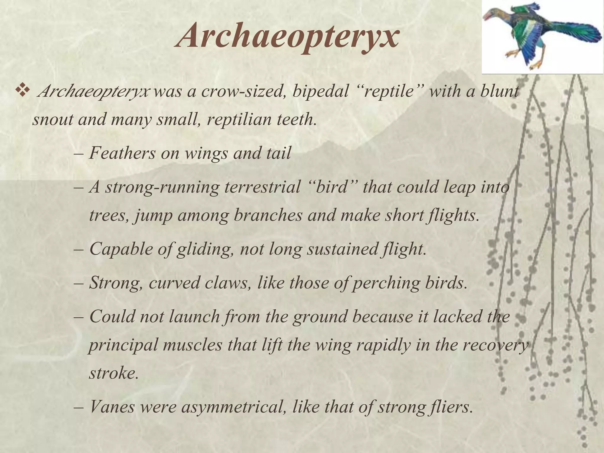 Birds as glorified reptiles | PPTX
