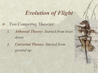 Birds as glorified reptiles | PPTX