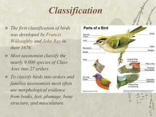 Birds as glorified reptiles | PPTX