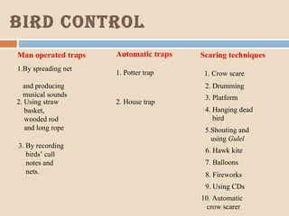 Birds control techniques | PPT