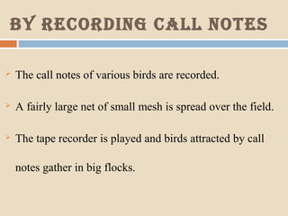 Birds control techniques | PPT