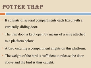 Birds control techniques | PPT