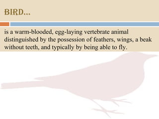 Birds control techniques | PPT