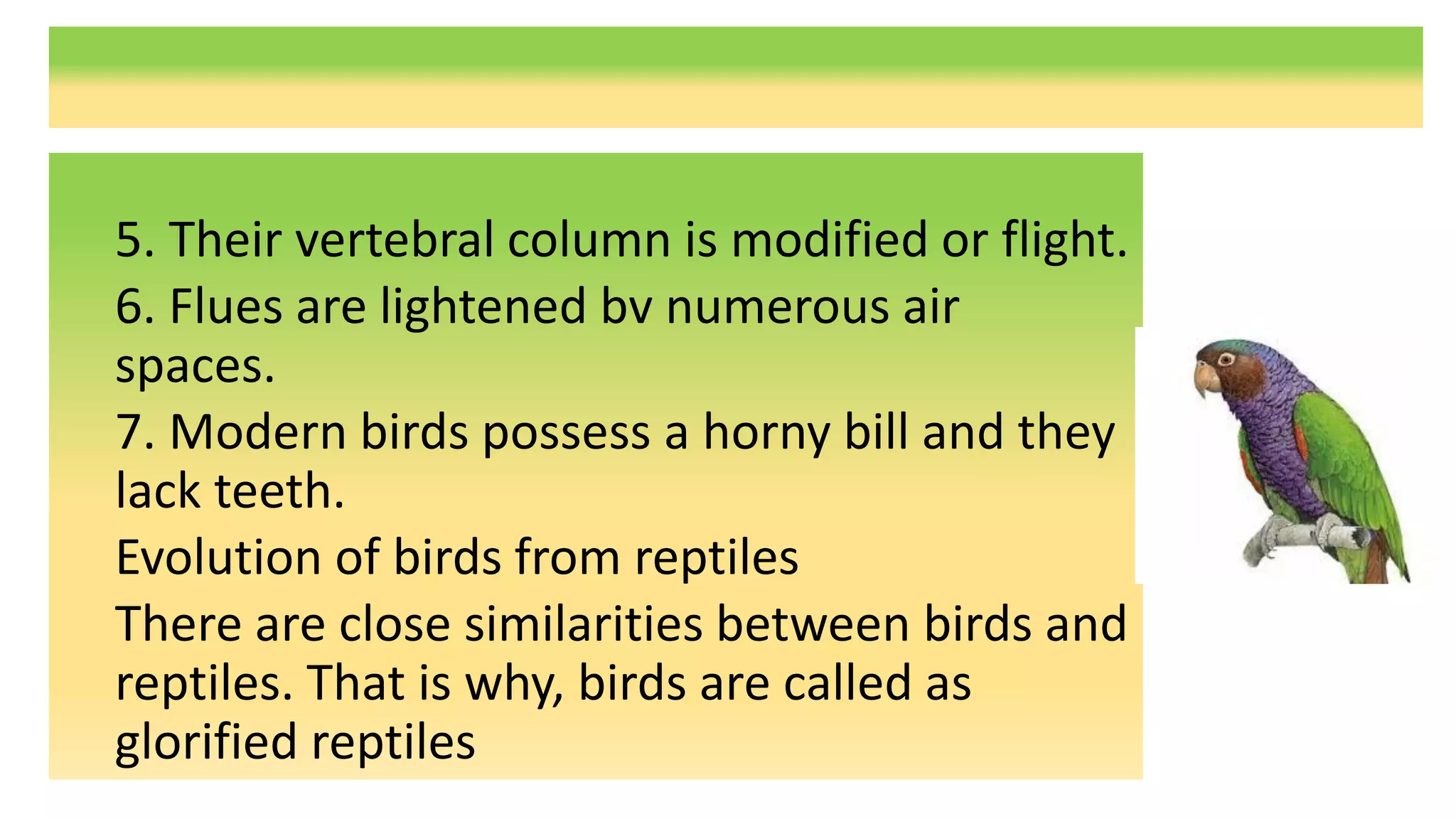 Birds, evolutionary prospective | PDF