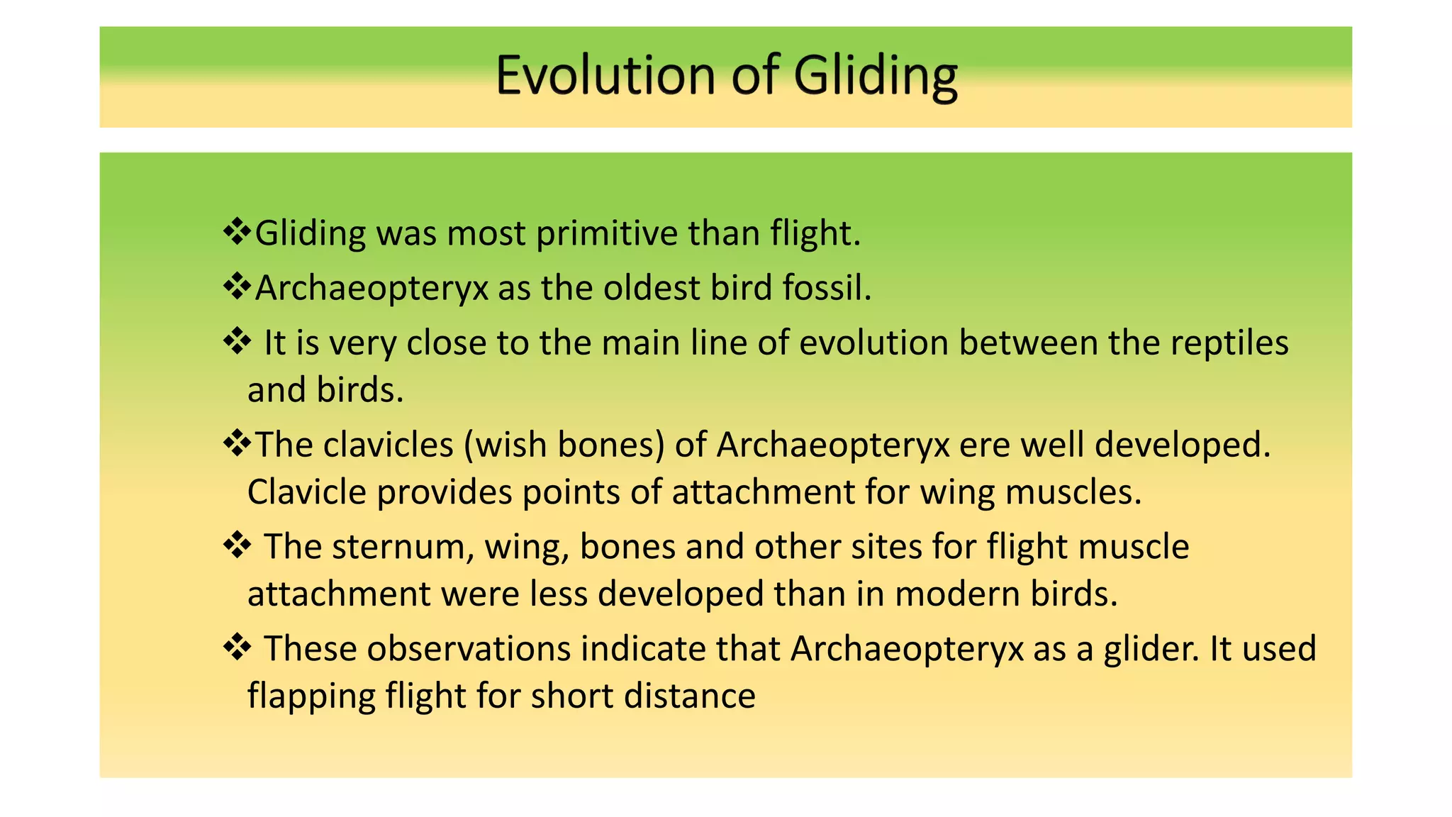 Birds, evolutionary prospective | PPT
