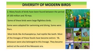 Birds, evolutionary prospective | PDF