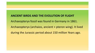 Birds, evolutionary prospective | PDF