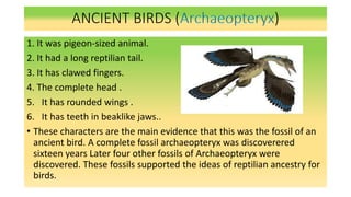 Birds, evolutionary prospective | PDF