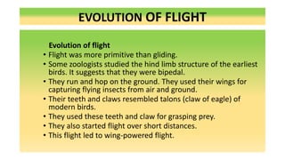 Birds, evolutionary prospective | PDF