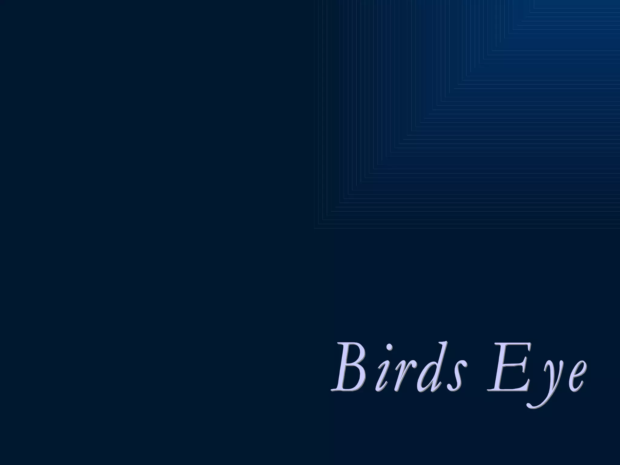 Birds Eye | PPT