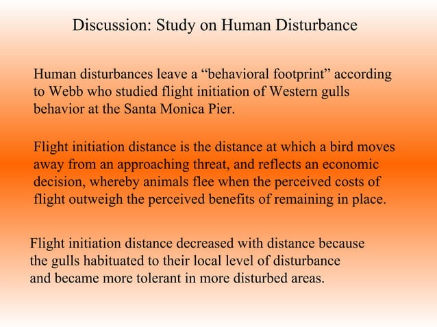 Birds and Human Interaction on the Beach | PPT