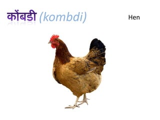 Birds in marathi | PPTX