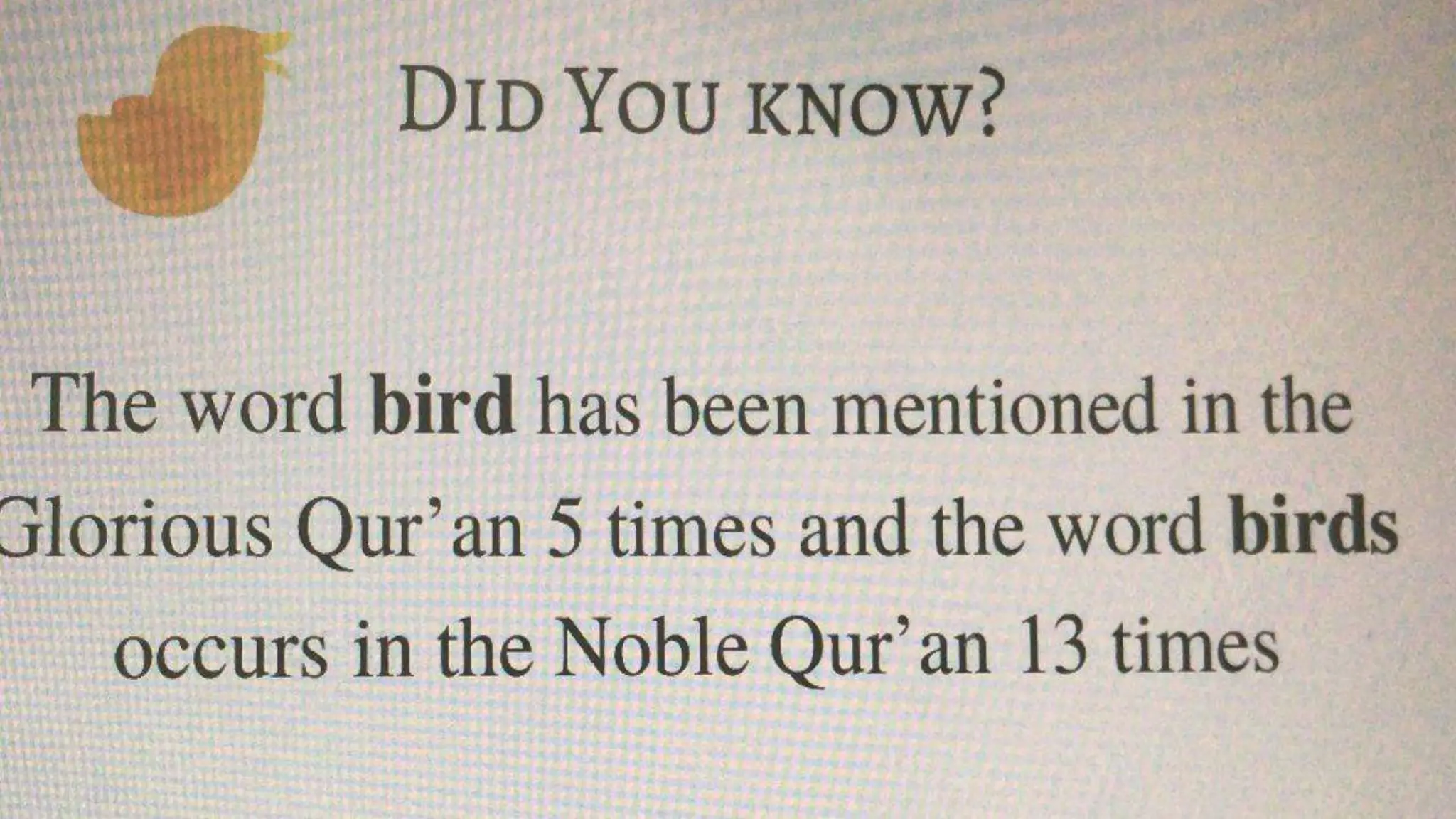 Birds in Quran.pptx check out diff birds | PPTX