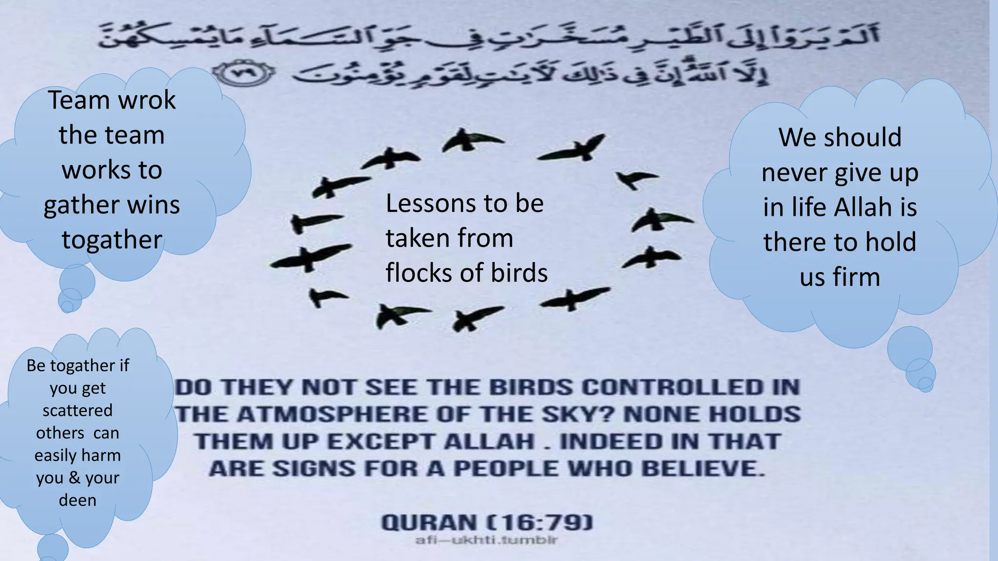 Birds in Quran.pptx check out diff birds | PPTX