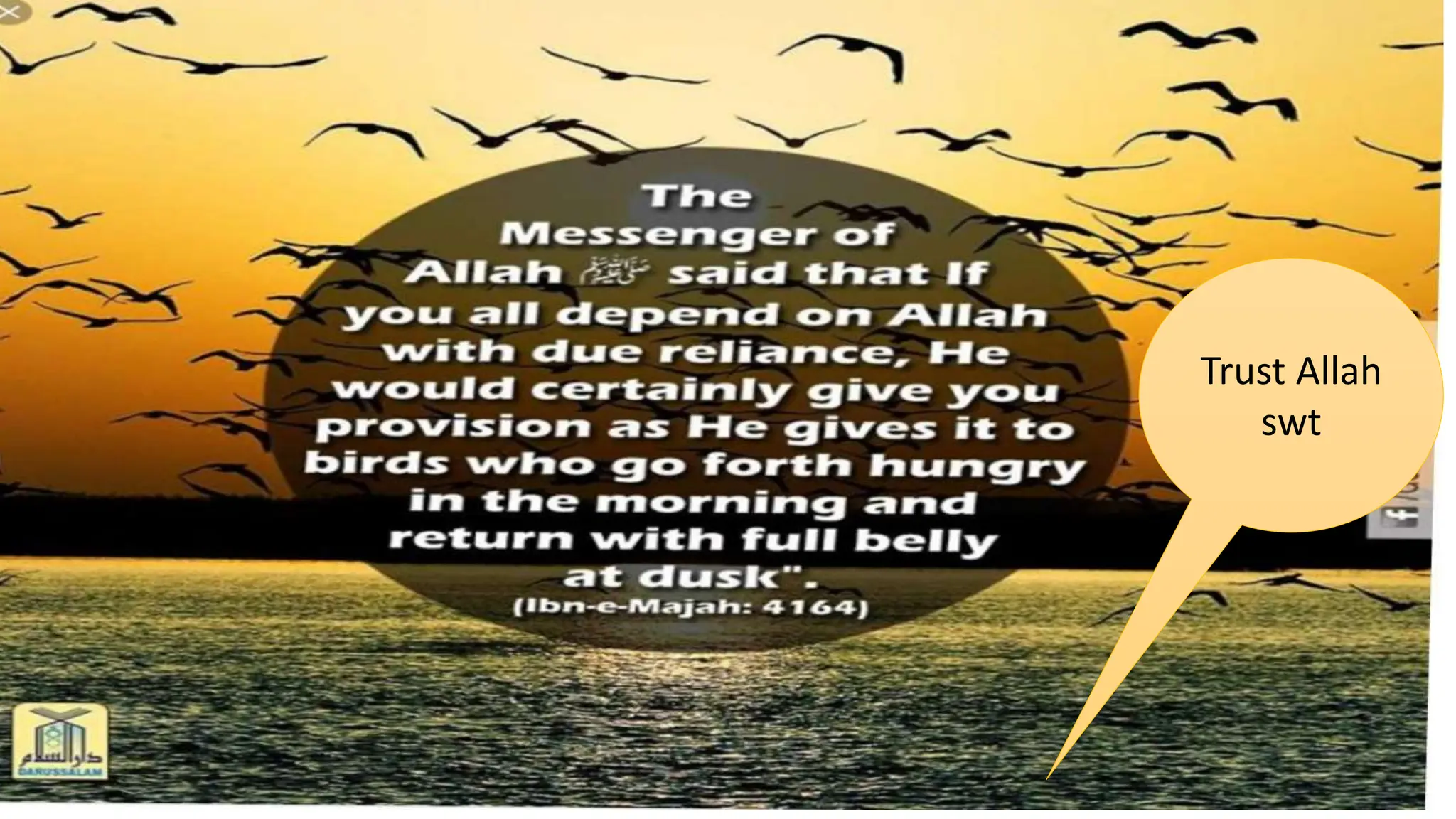 Birds in Quran.pptx check out diff birds | PPTX