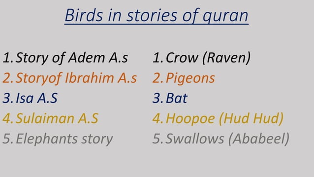 Birds in Quran.pptx check out diff birds | PPTX