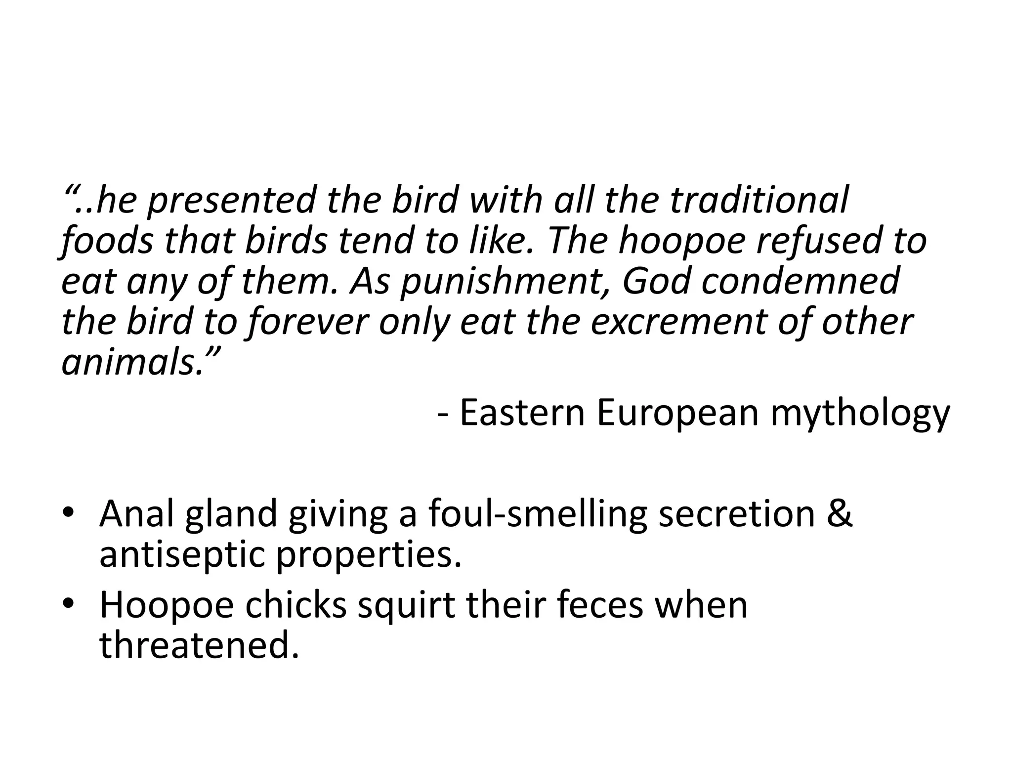 Birds in traditional wisdom | PPTX