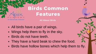 Birds kingdom - Know about Birds | PPT