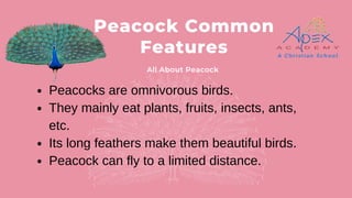 Birds kingdom - Know about Birds | PDF