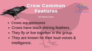 Birds kingdom - Know about Birds | PDF